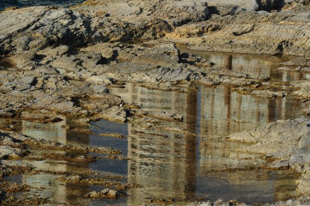 Dalieh, the Threatened Shore – Alice Mogabgab Gallery